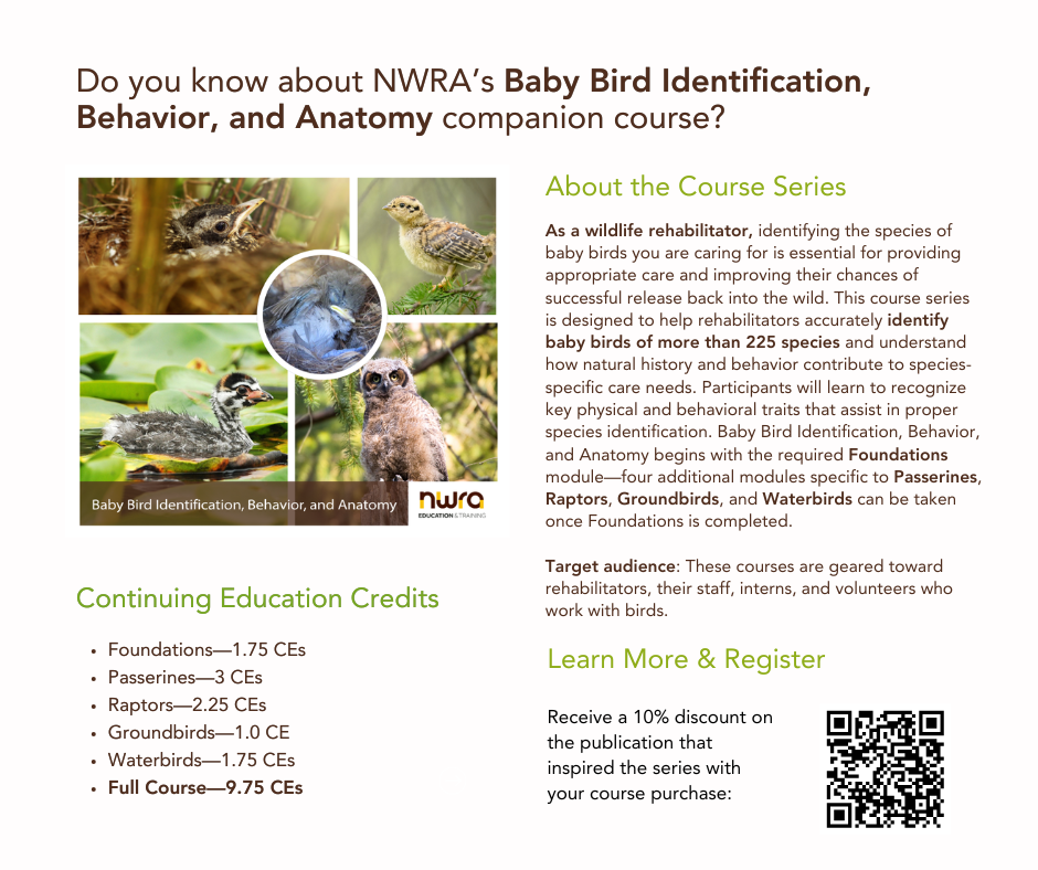 Baby Bird Identification: A North American Guide – National Wildlife ...