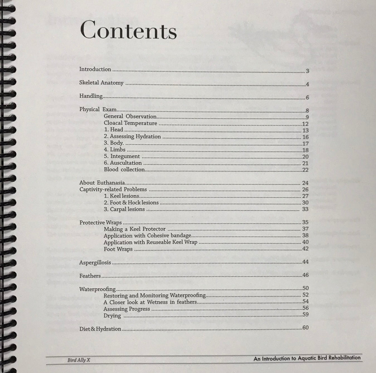 An Introduction to Aquatic Bird Rehabilitation – National Wildlife ...