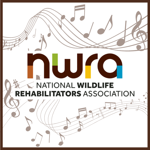 National Wildlife Rehabilitators Association